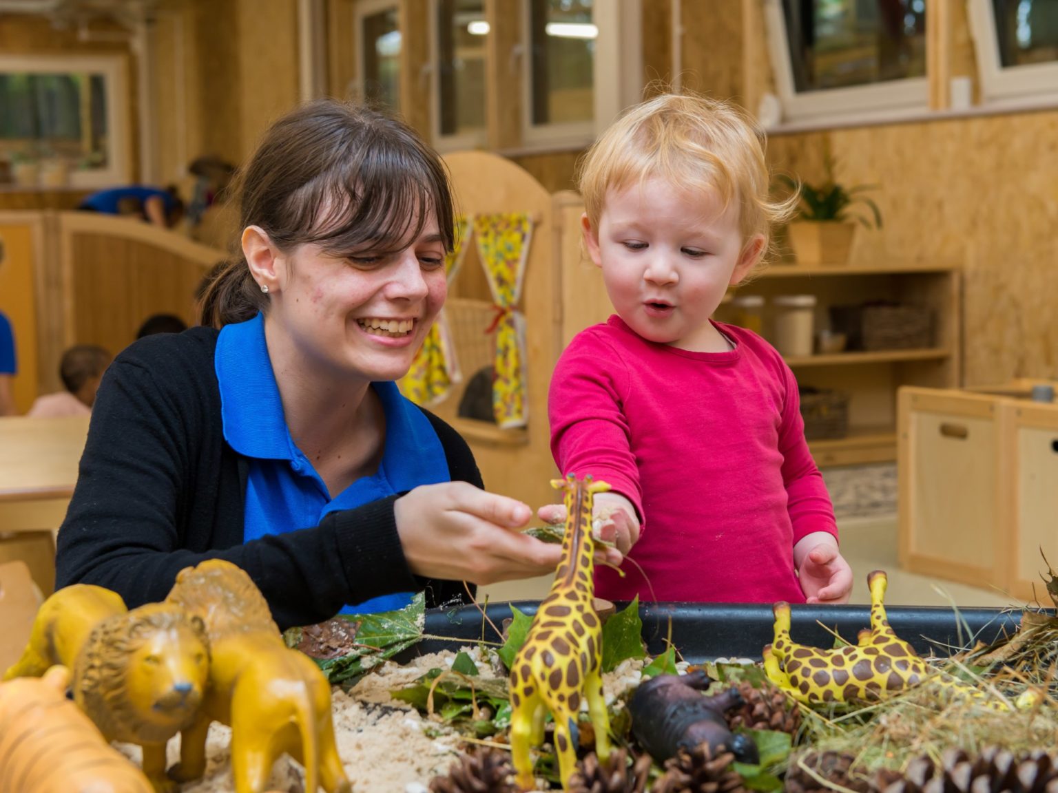 The curiosity approach supports nature based play learning